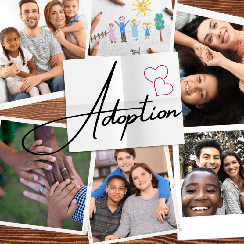 Adoption Awareness | Climate Shield Home Exteriors